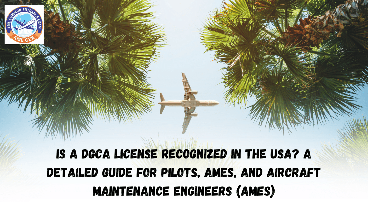 Is A DGCA License Recognized In The USA? A Detailed Guide For Pilots ...