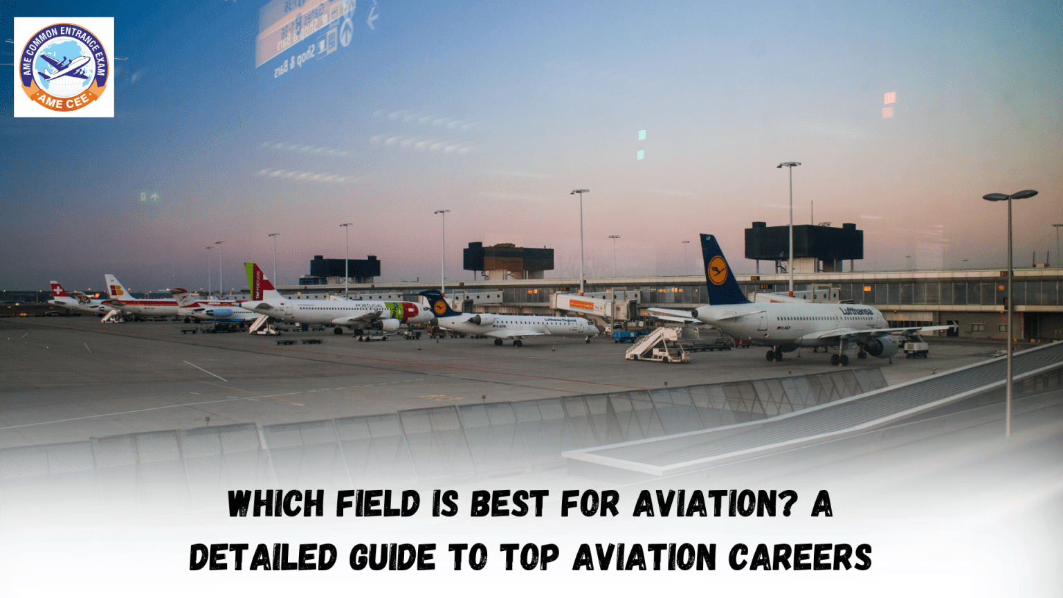 Which Field is Best for Aviation? A Detailed Guide to Top Aviation Careers